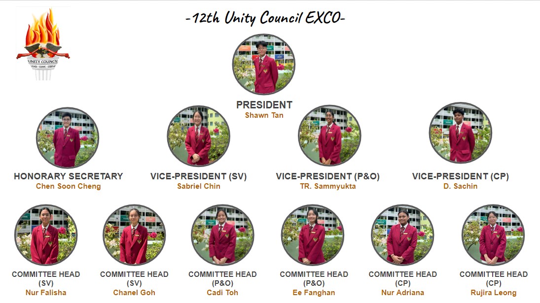 Structure of Unity Council
